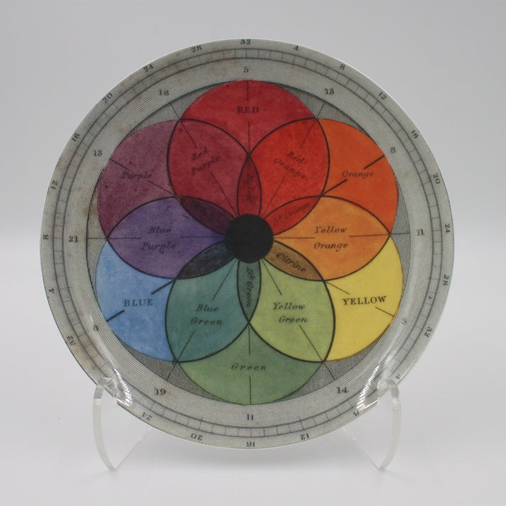 Colour Wheel Plates – Brighton & Hove Museums Online Shop